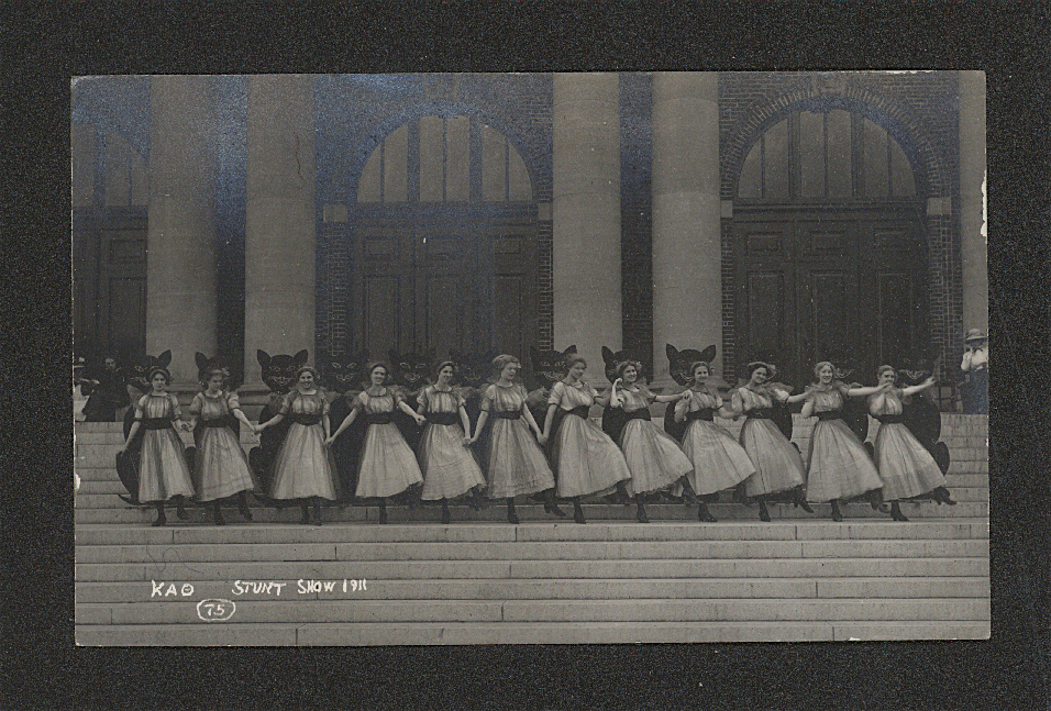 Conga Line with Cats | Pam's Pictorama