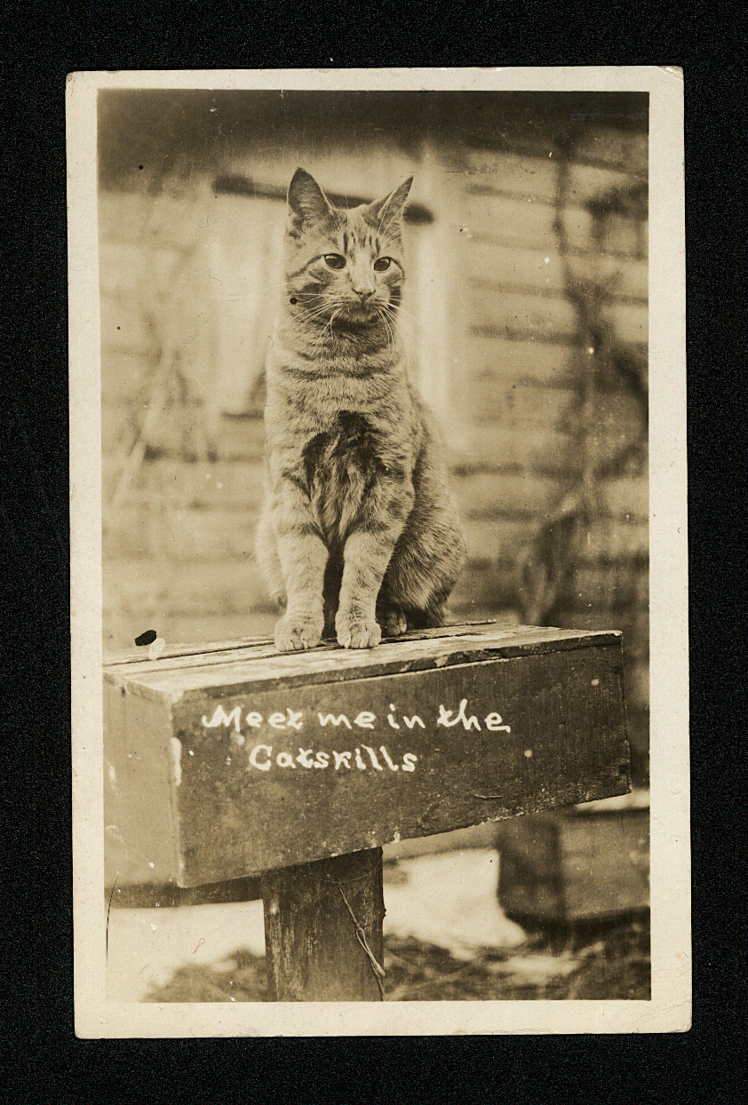 Pictorama! | Pam's Pictorama