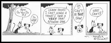 Comics | Pam's Pictorama