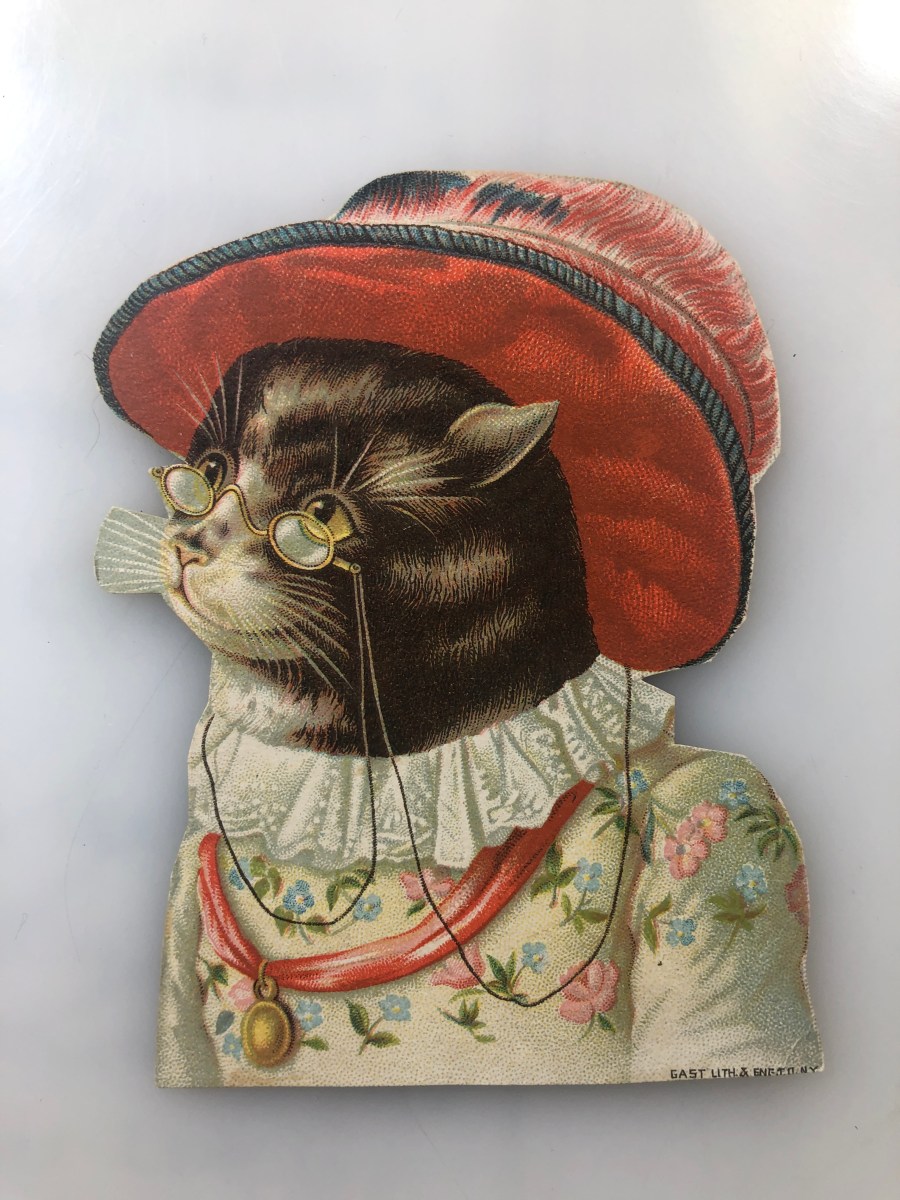 Specs | Pam's Pictorama