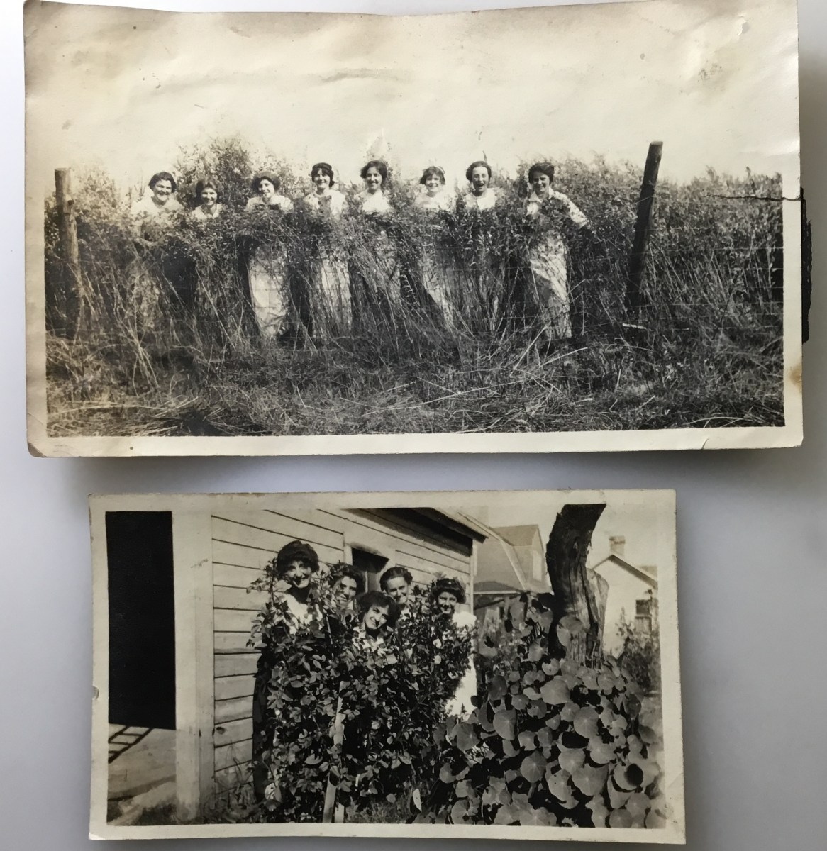 Lined Up | Pam's Pictorama