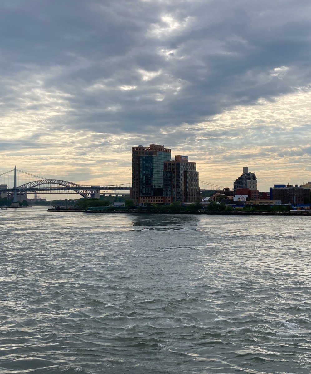 Annual | Pam's Pictorama