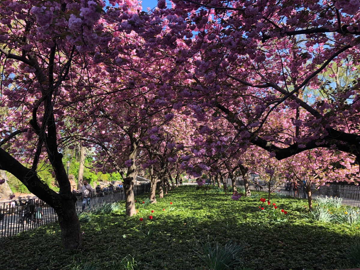 Time | Pam's Pictorama