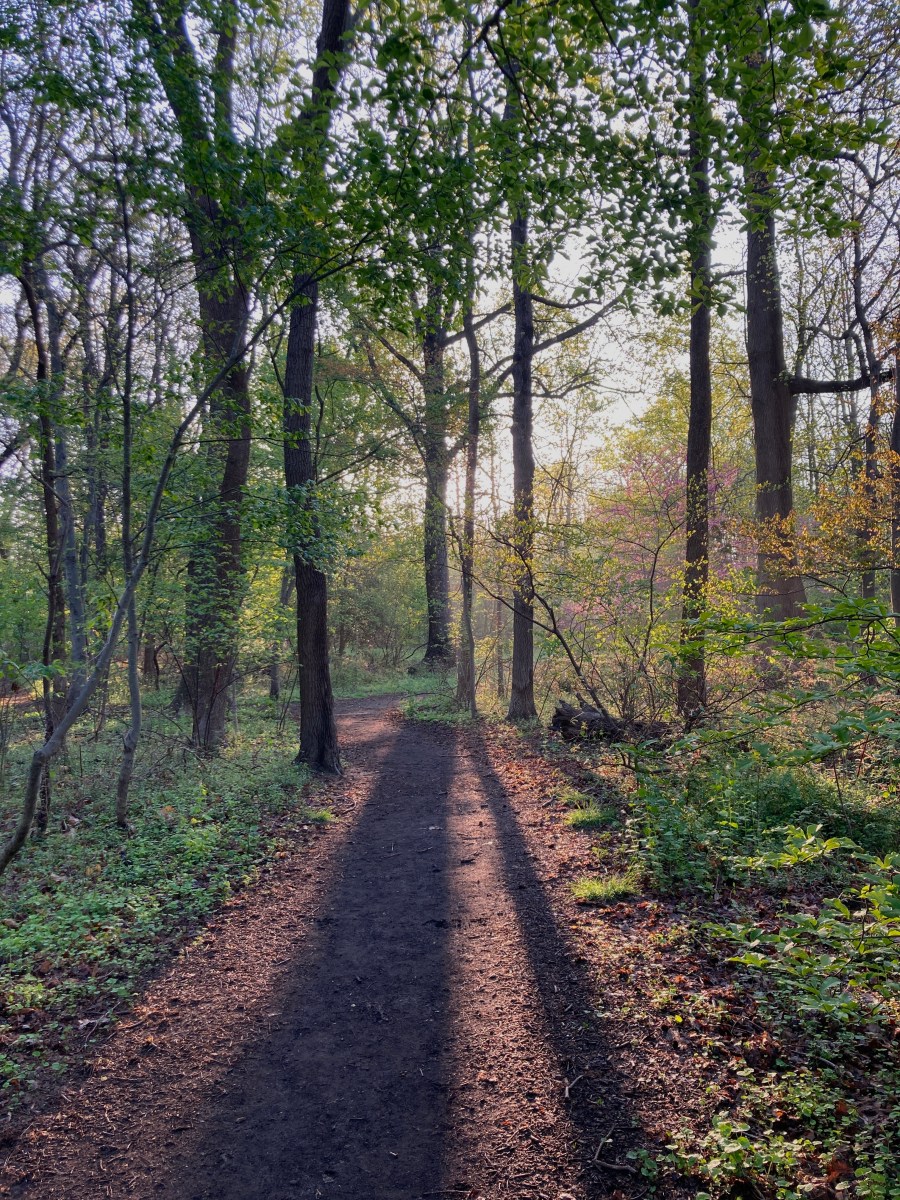 Time | Pam's Pictorama