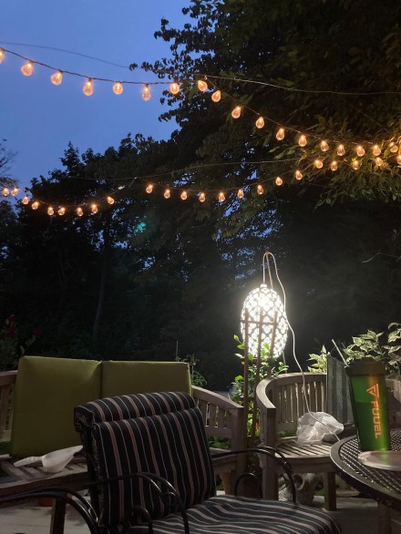 The Summer Shift | Pam's Pictorama