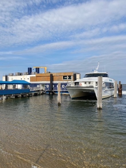 Pam's Pictorama | All Pam, all the time